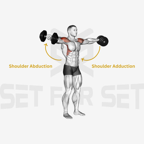 Top 3 Shoulder Abduction and Adduction Exercises – SET FOR SET