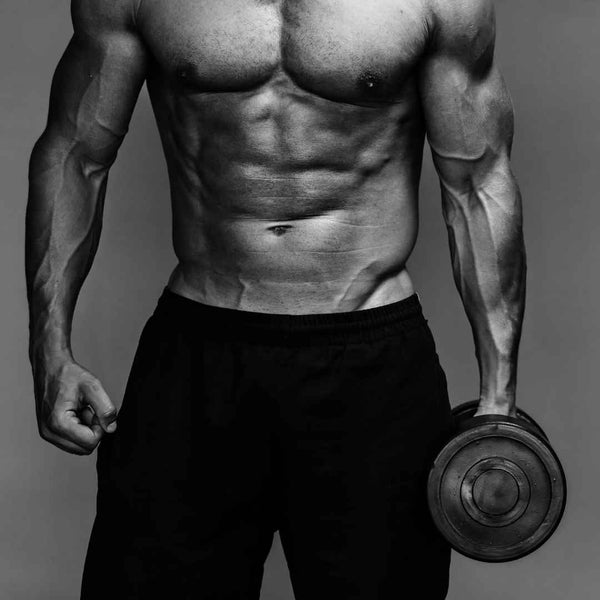 Take A Stork Walk: Military Exercise Turned Effective Mace Movement ...